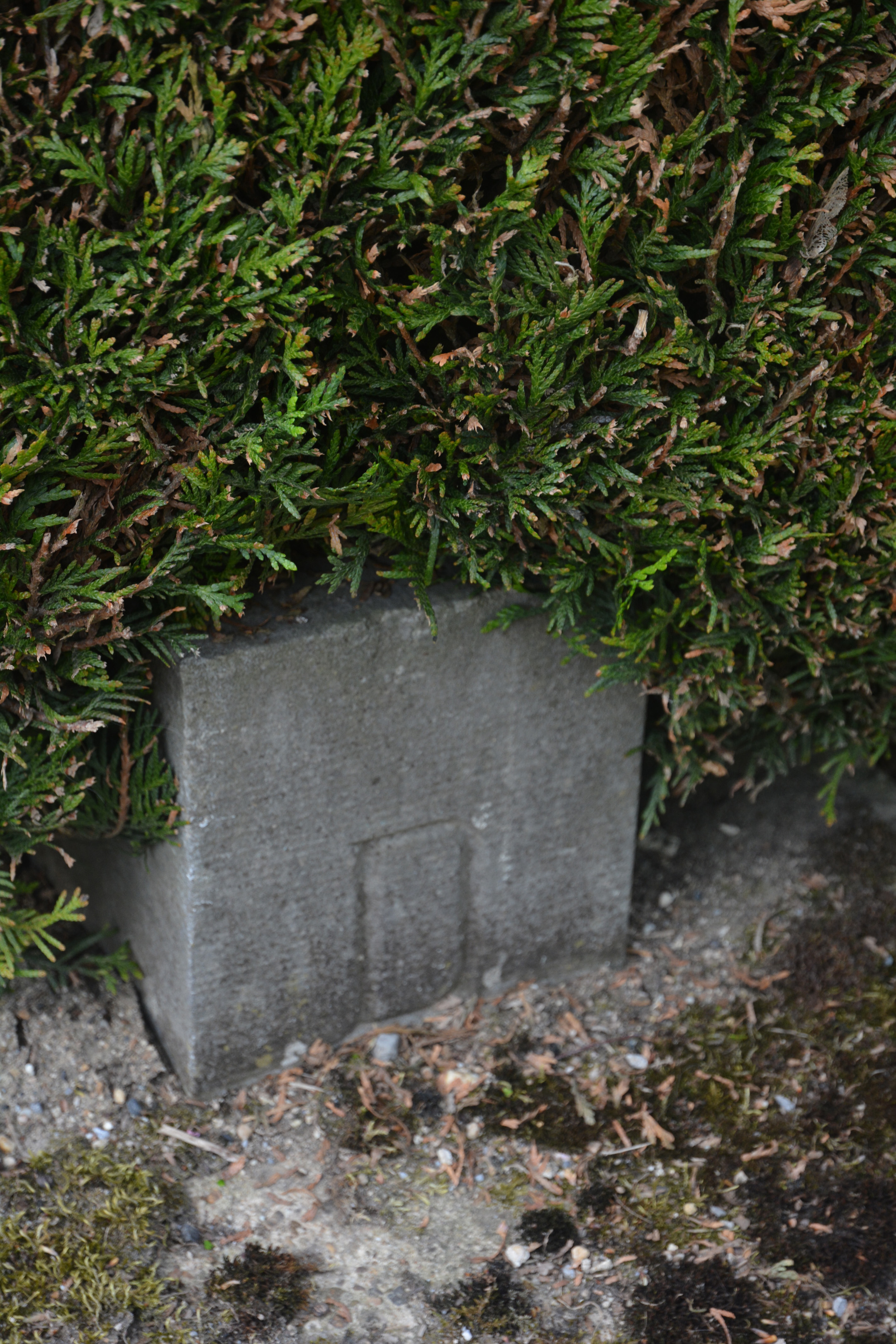 Vennbahn and the German Exclaves – Barry's Borderpoints