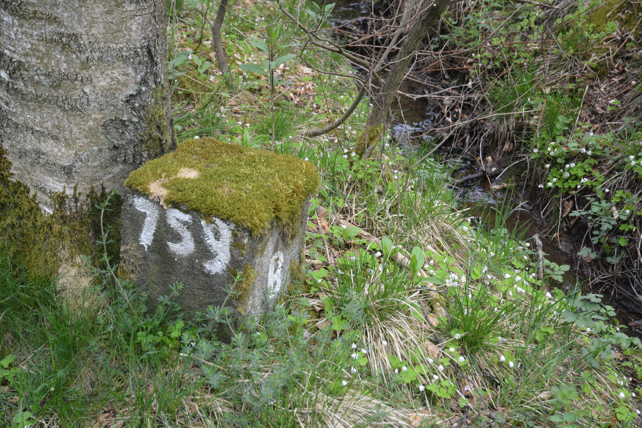 Vennbahn and the German Exclaves – Barry's Borderpoints