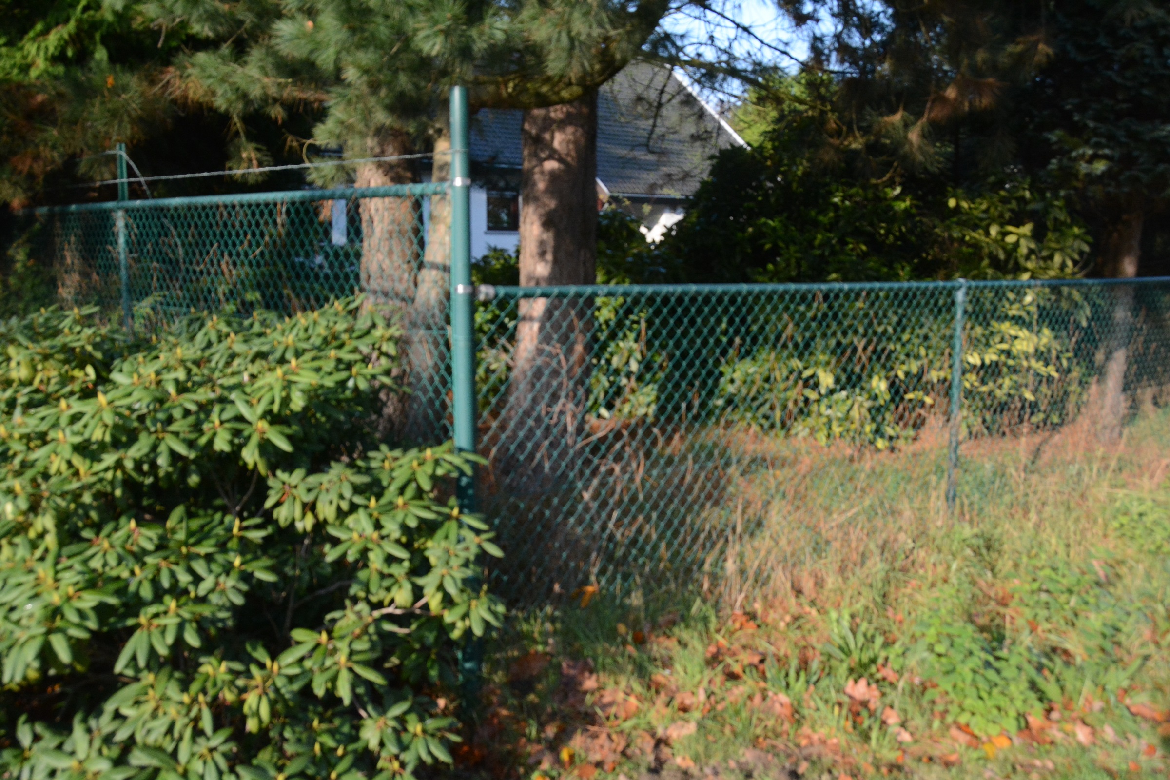 Baarle-Hertog – a border puzzle – Barry's Borderpoints