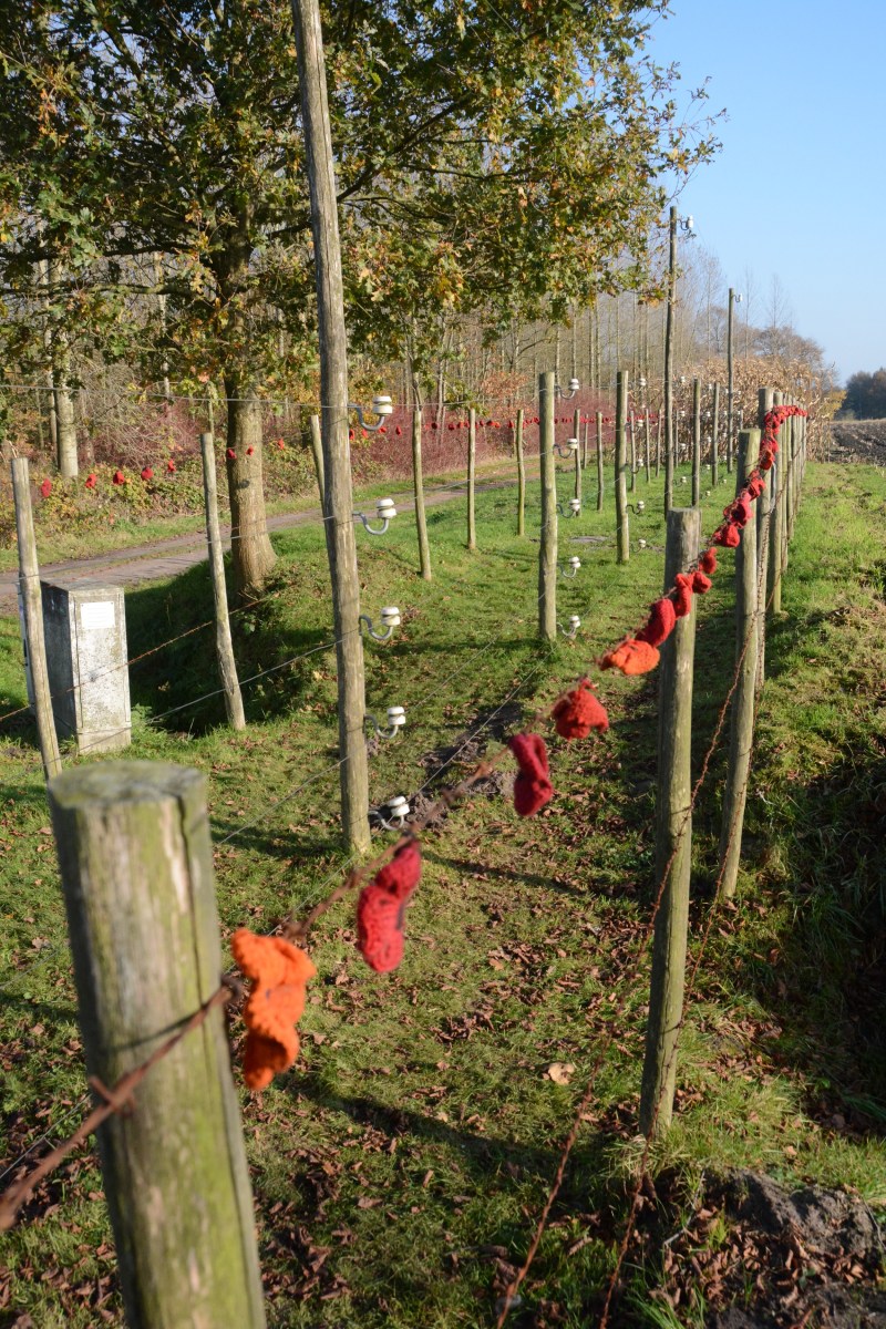 The Wire of Death – de Dodendraad – Barry's Borderpoints