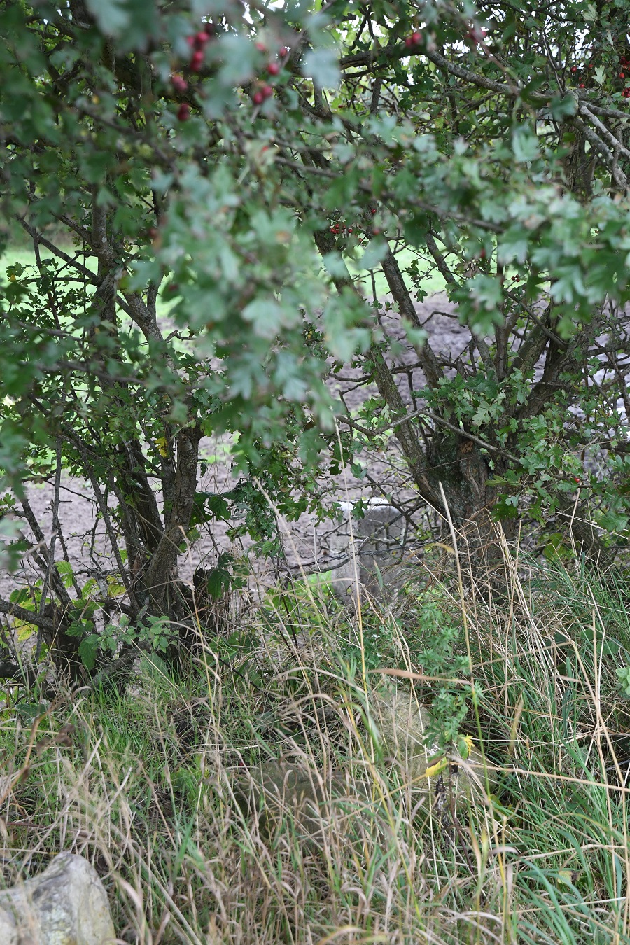 Denmark Southernmost Point – Barry's Borderpoints