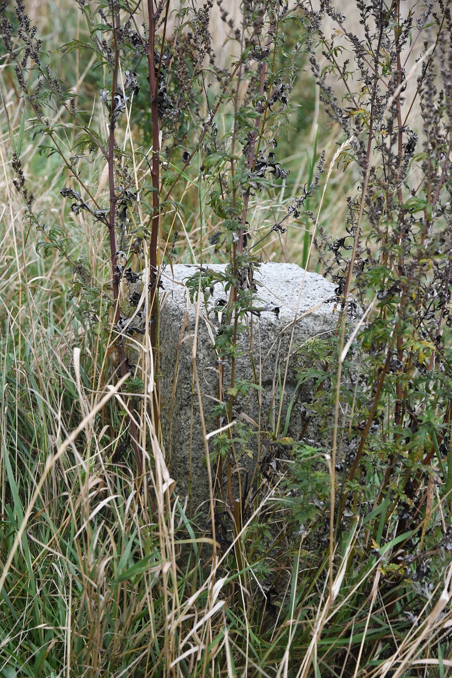 Denmark Southernmost Point – Barry's Borderpoints