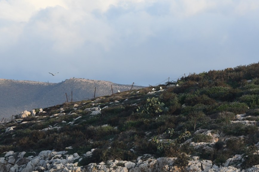 The Alhucemas Islands – Barry's Borderpoints